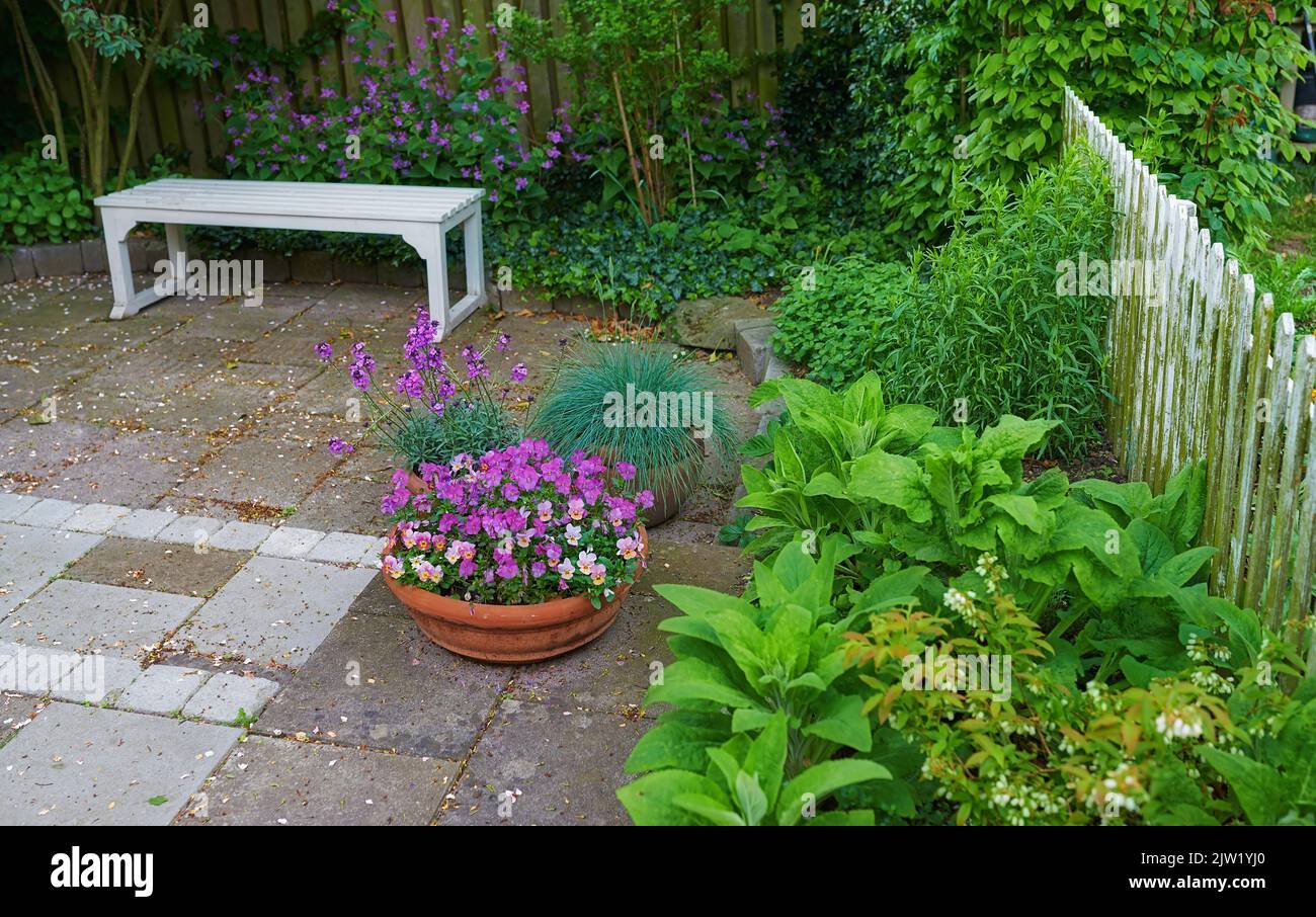 Growing outside garden hi-res stock photography and images - Alamy