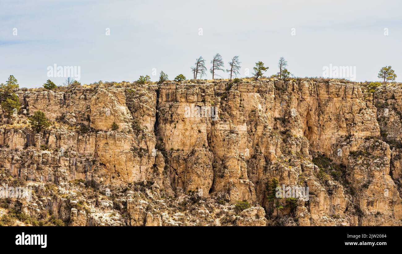 Trees atop a mountain ridge in West Texas Stock Photo - Alamy