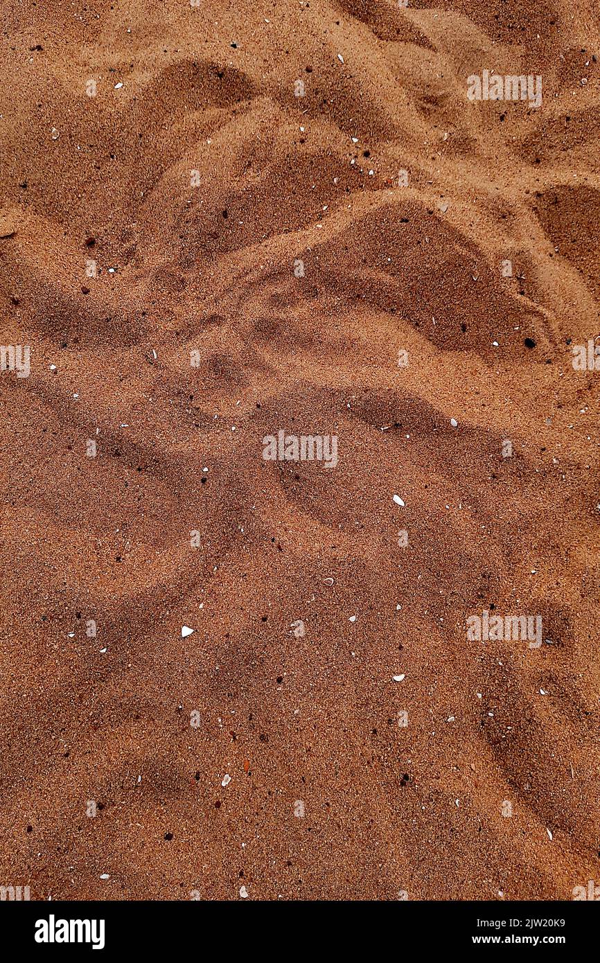 Close-up of sand grains and shrimp chips at sandy beach Stock Photo - Alamy