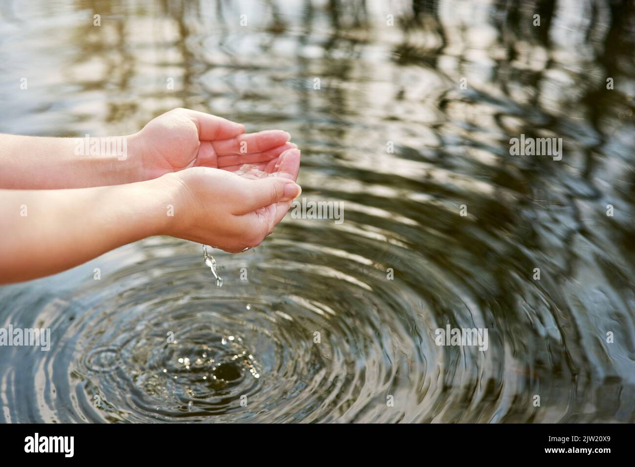 Caring for the environment. hands cupped together holding some water ...
