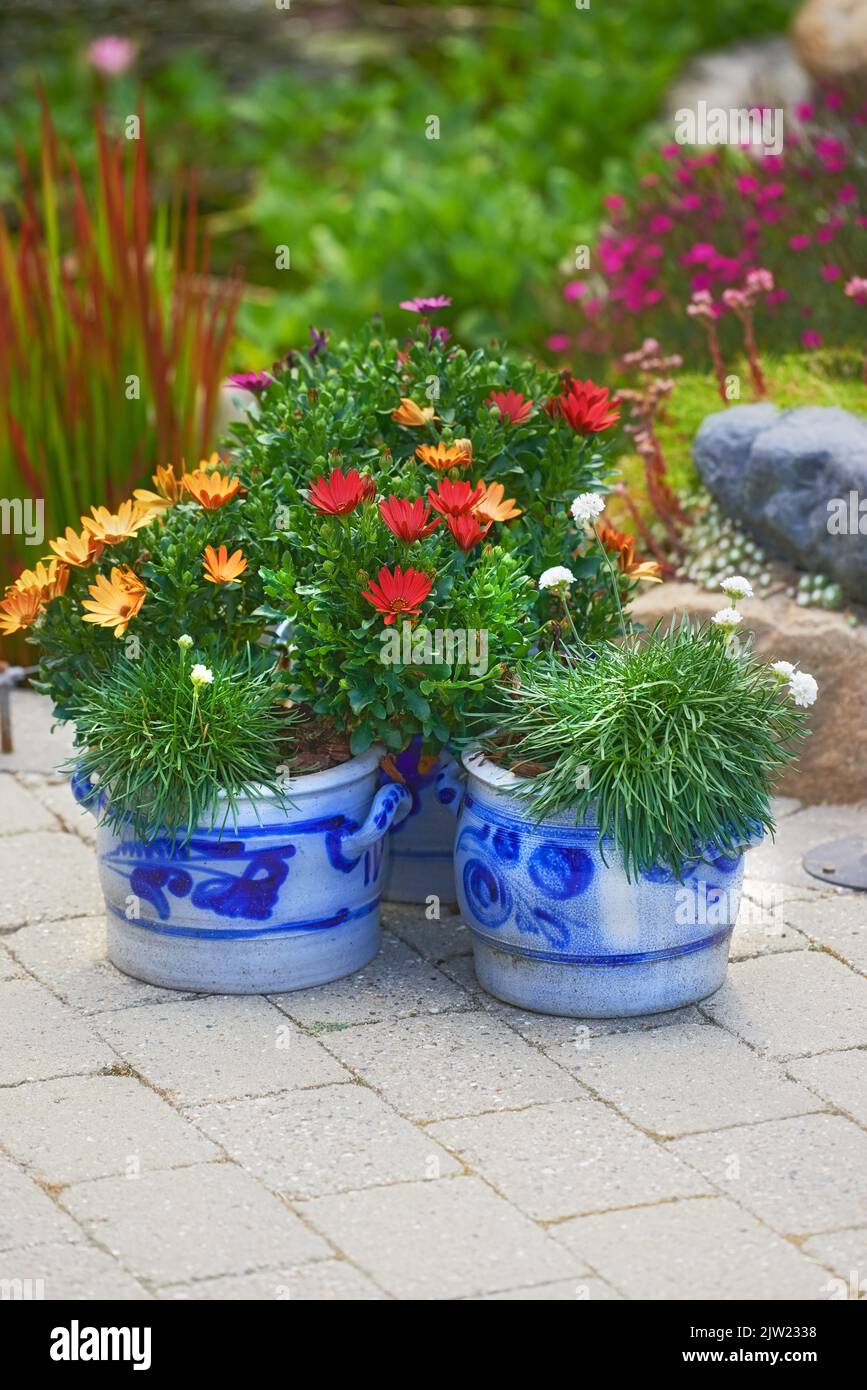 Growing outside hi-res stock photography and images - Alamy