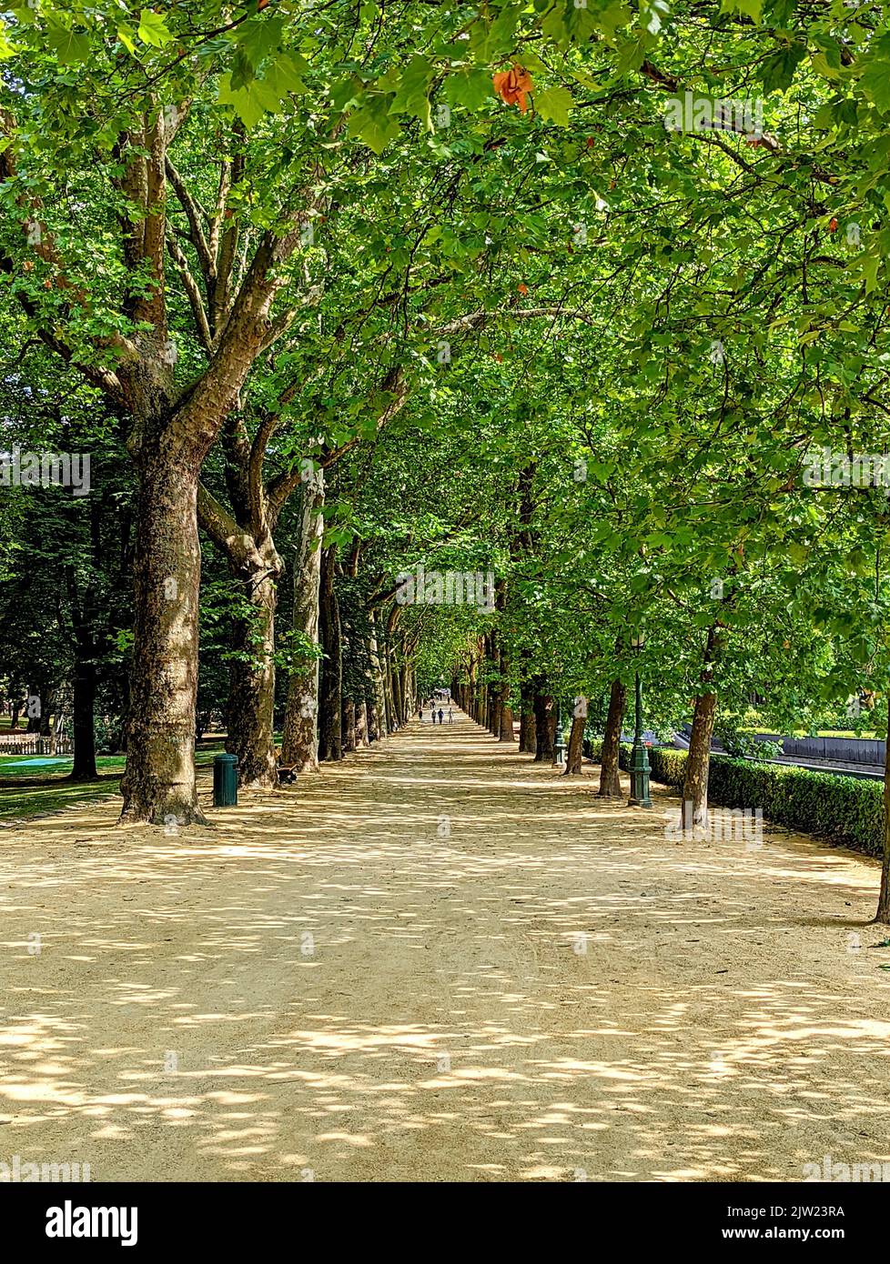 A beautiful garden with a walk path and lush green trees on both sides ...