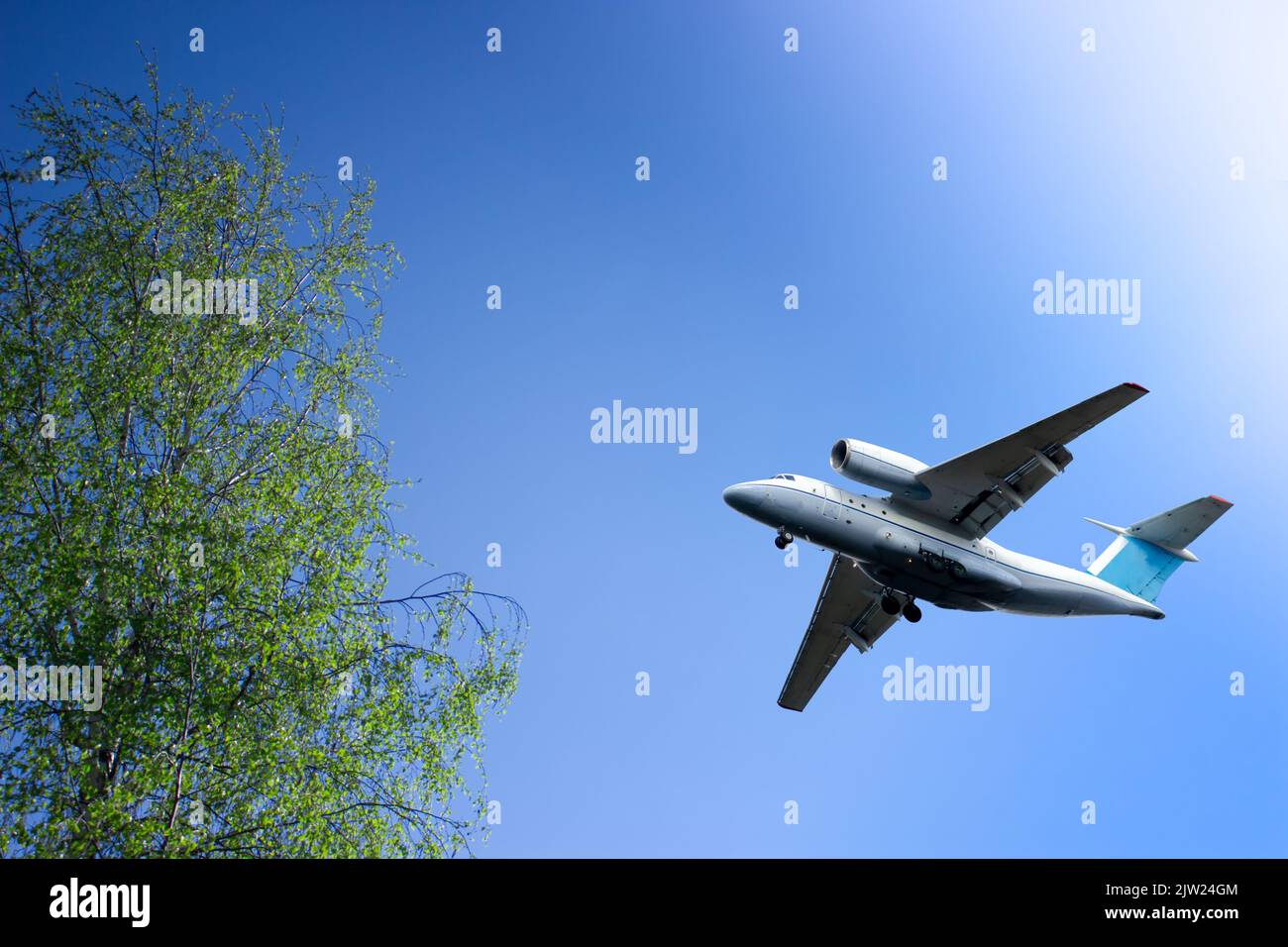 An airplane against a clear blue sky on a sunny day. Branches of cream ...