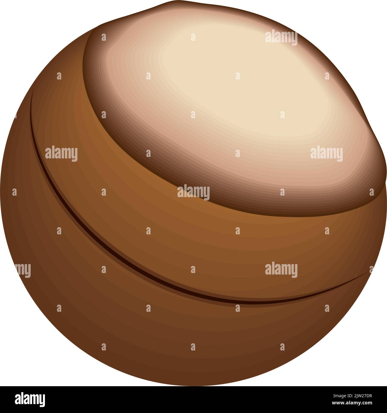 chestnut isolated icon Stock Vector Image & Art - Alamy