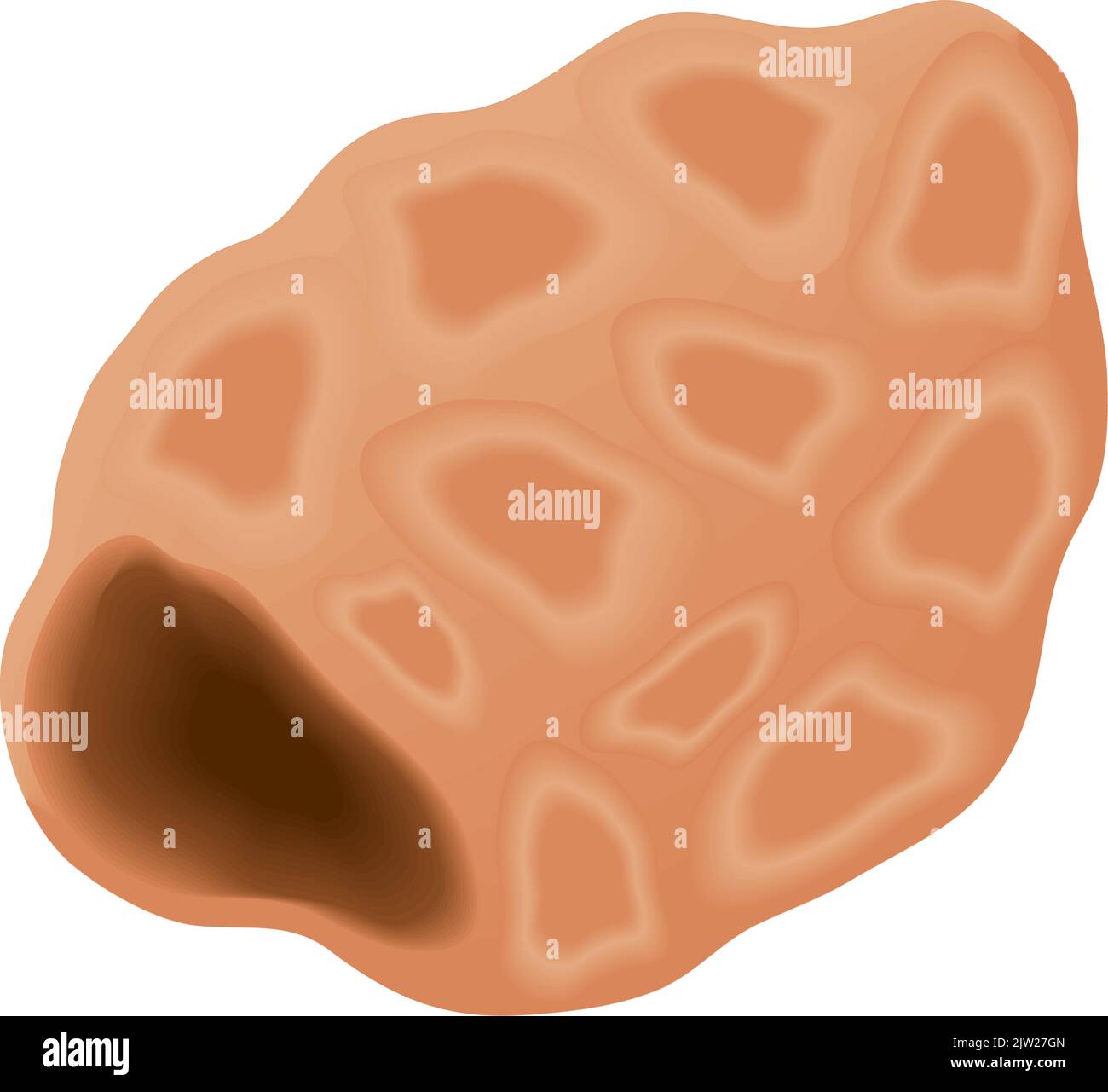 nut icon vector Stock Vector Image & Art - Alamy