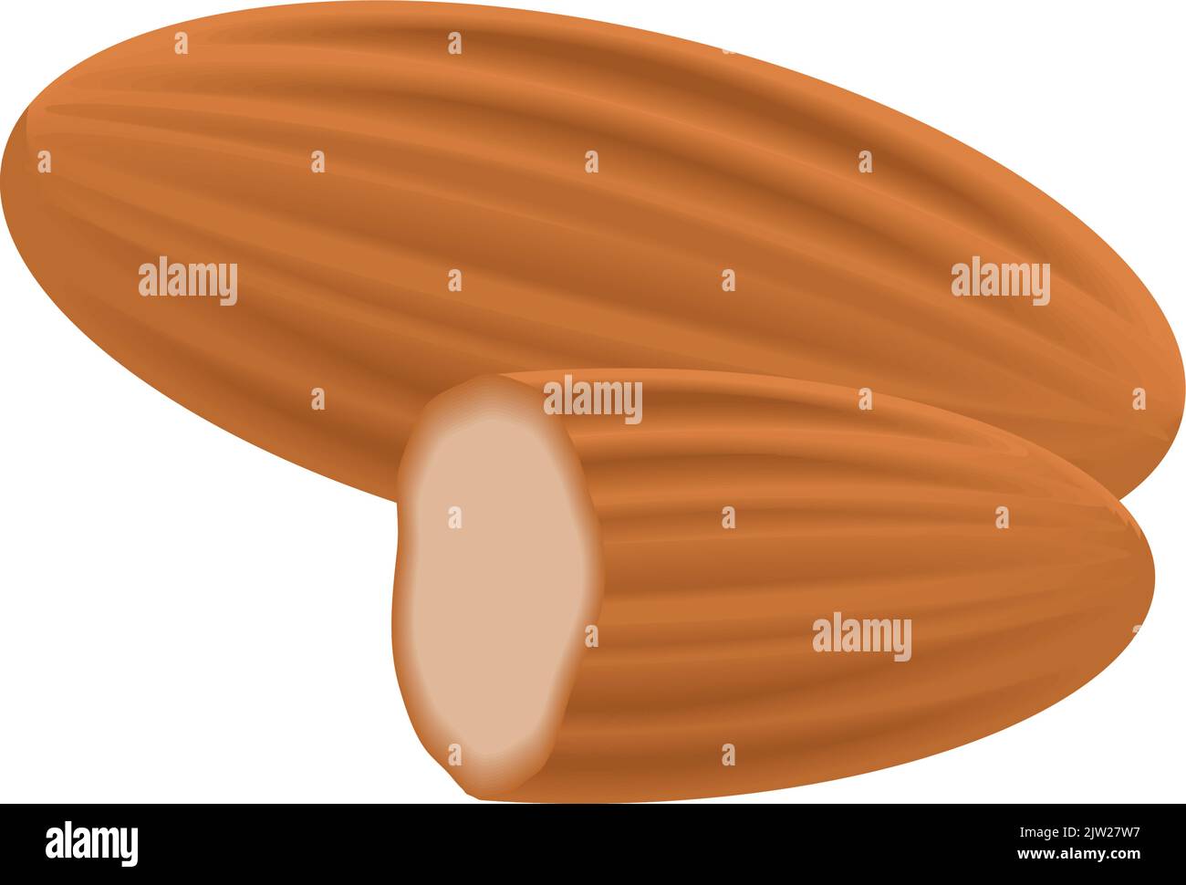 almond nut icon Stock Vector Image & Art - Alamy