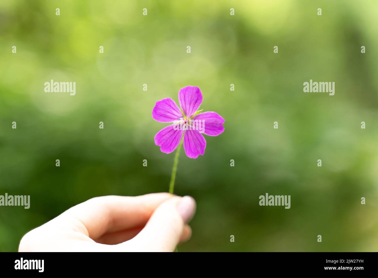 Symbols Of Generosity at Norma Plouffe blog