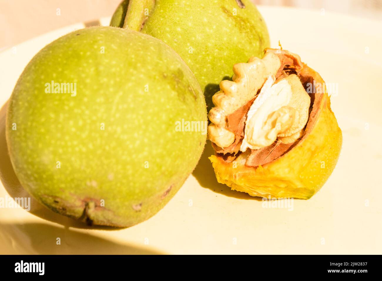 The fruit of walnut hi-res stock photography and images - Alamy