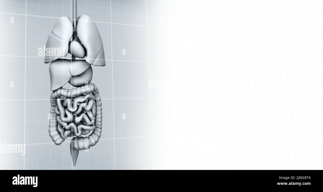 Image of graph over human organs model. global science research and ...