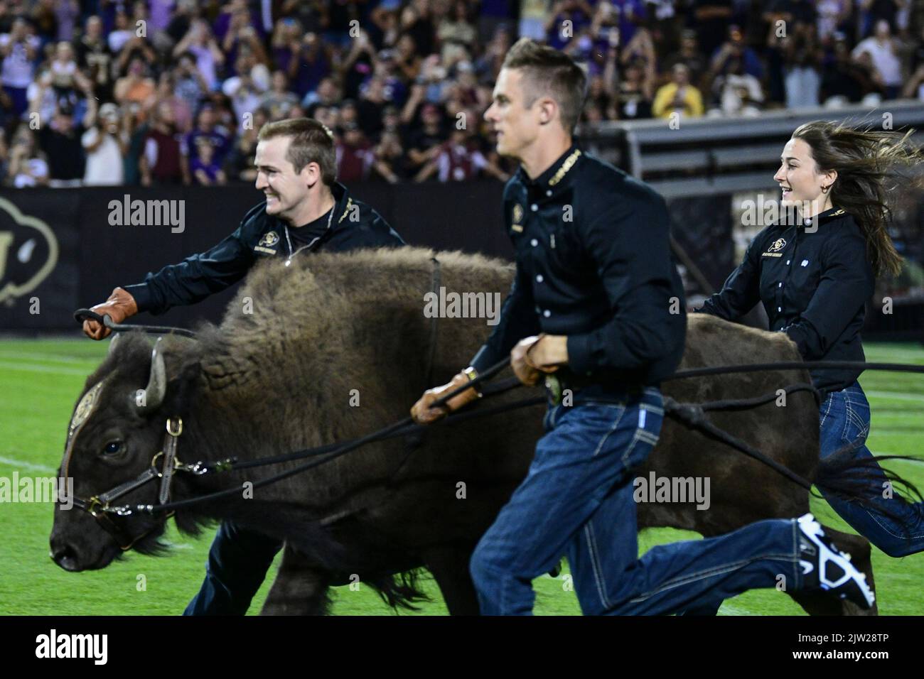Ralphie colorado buffalo hi-res stock photography and images - Alamy