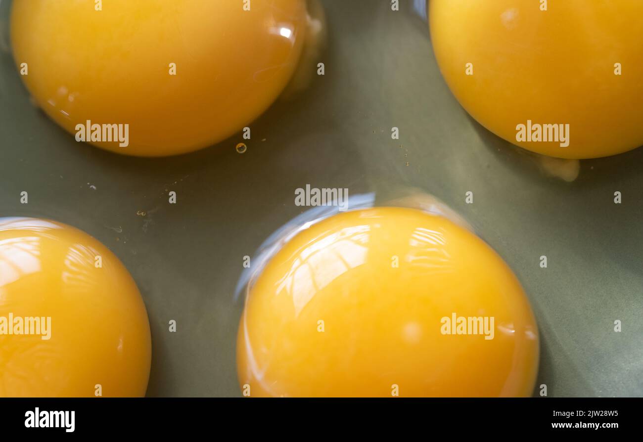 Egg yolks on a plate. Broken eggs close-up. Smooth, shiny membrane on ...