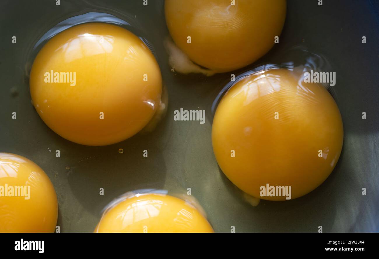 Egg yolks on a plate. Broken eggs close-up. Smooth, shiny membrane on ...