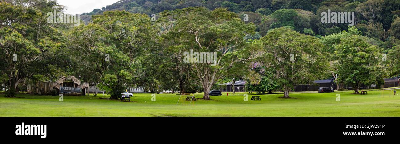 Panoramic view of a public park with large tropical trees in the town ...