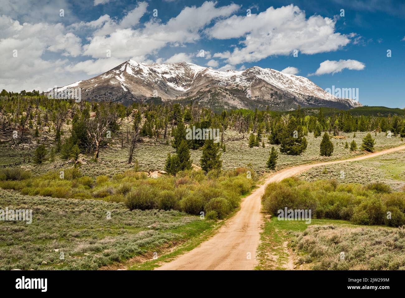 Mount Nystrom massif, Wind River Range, Sweetwater Gap Road (BLMR 132 ...