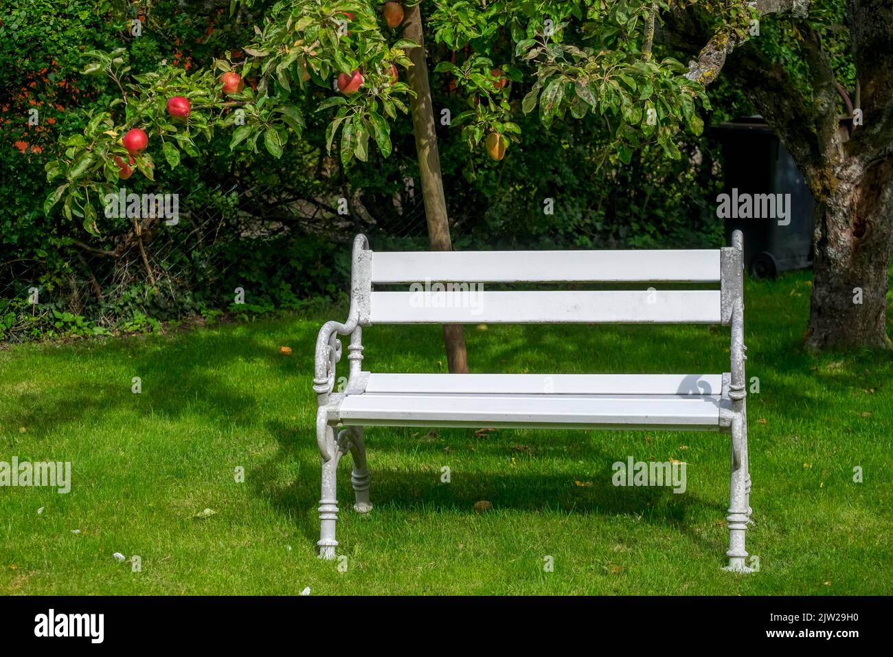 White bench under an apple tree, Foehr Island, Schleswig-Holstein ...