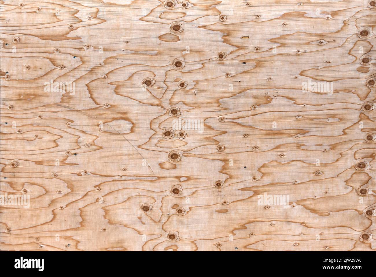 Structure of a chipboard, Bavaria, Germany Stock Photo - Alamy