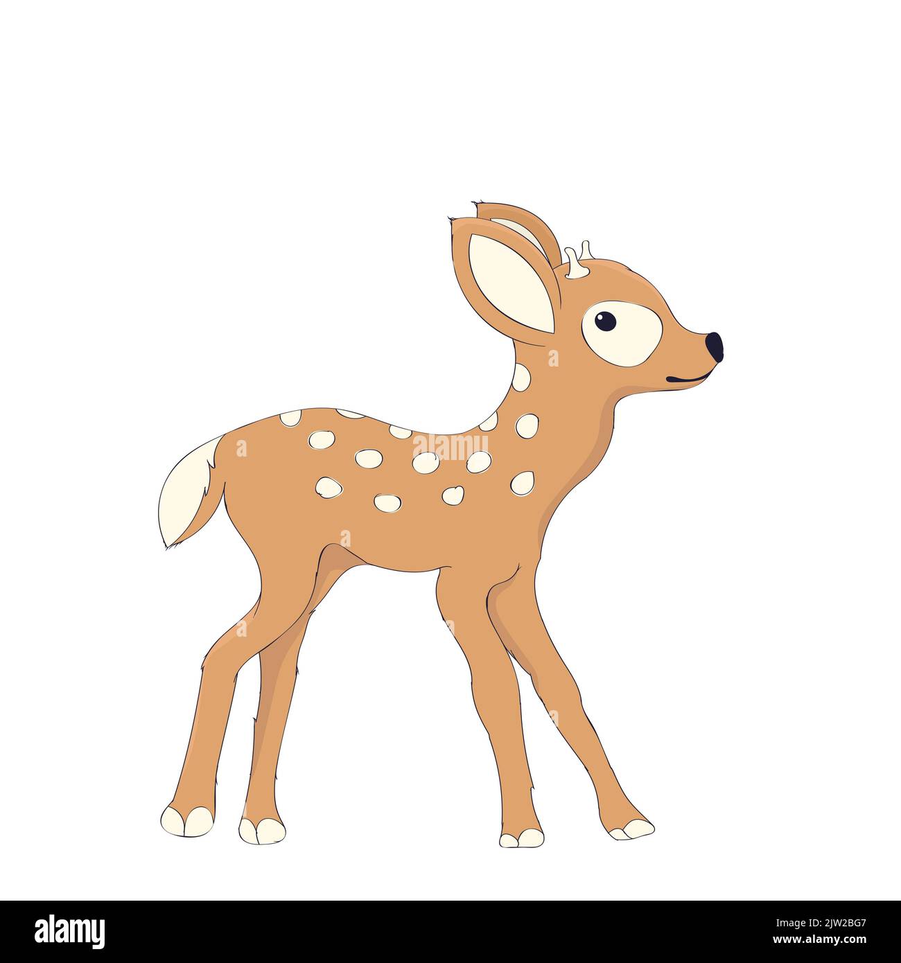 Cute little fawn vector character over white background Stock Photo - Alamy