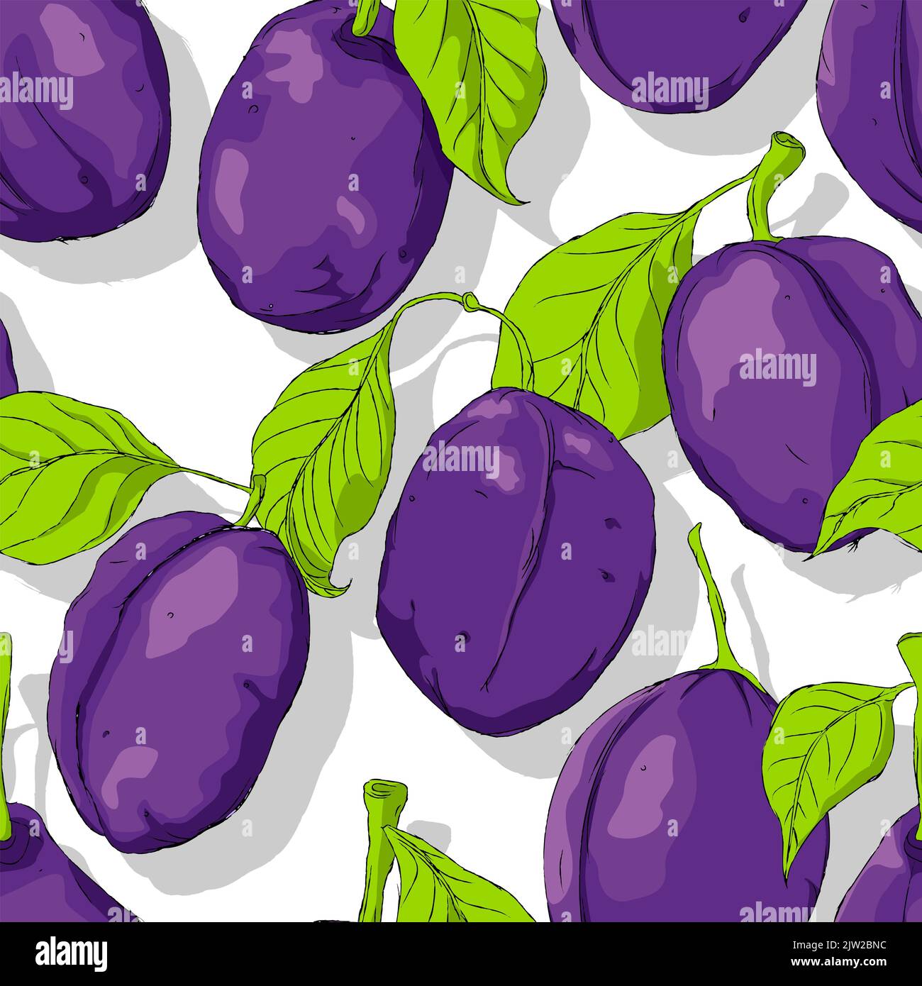 Plum drawing hi-res stock photography and images - Alamy