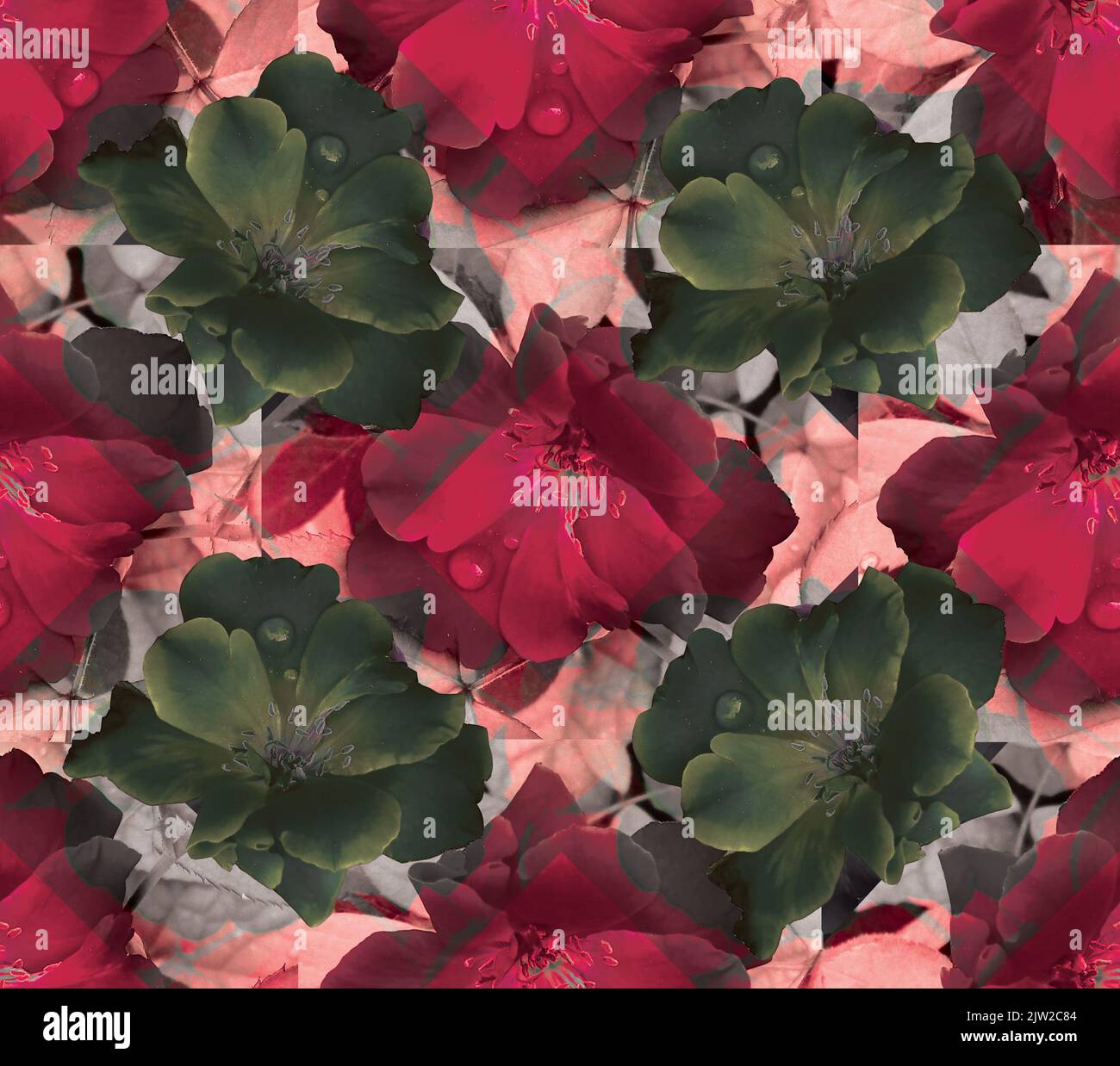 Seamless rose hi-res stock photography and images - Alamy