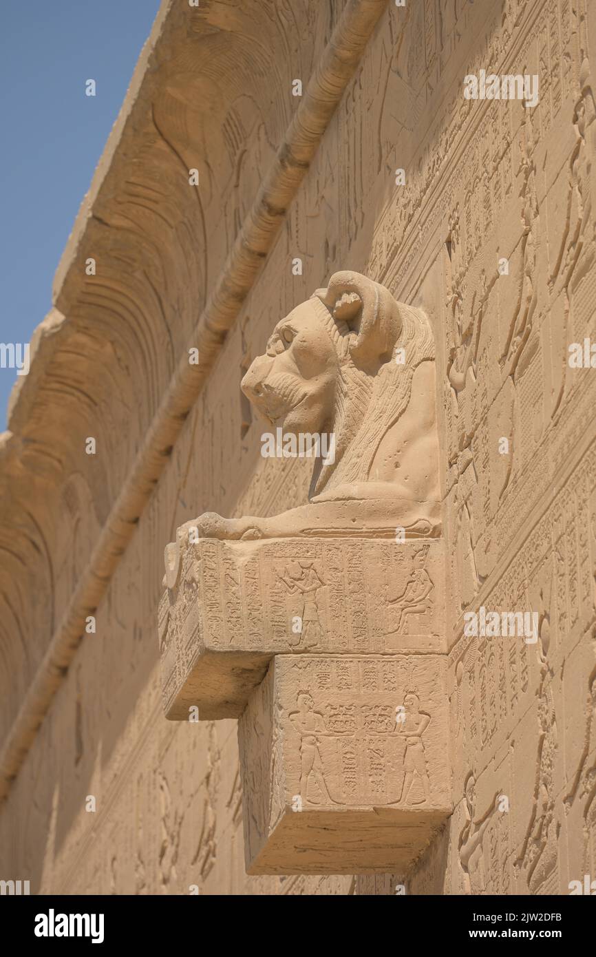 Lion-headed gargoyle, Temple of Hathor, Dendera, Qina, Egypt Stock ...
