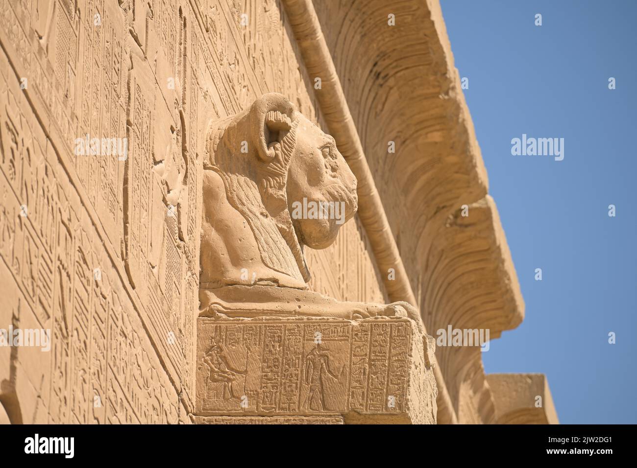 Lion-headed gargoyle, Temple of Hathor, Dendera, Qina, Egypt Stock ...