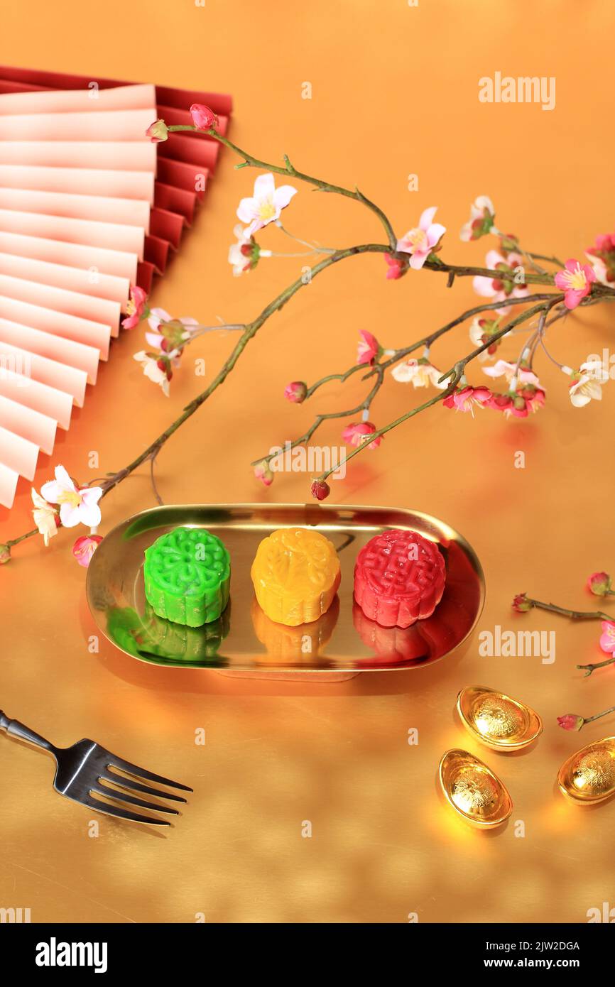 Colorful Snow Skin Moon Cake, Sweet Mochi Mooncake, Traditional Chinese ...