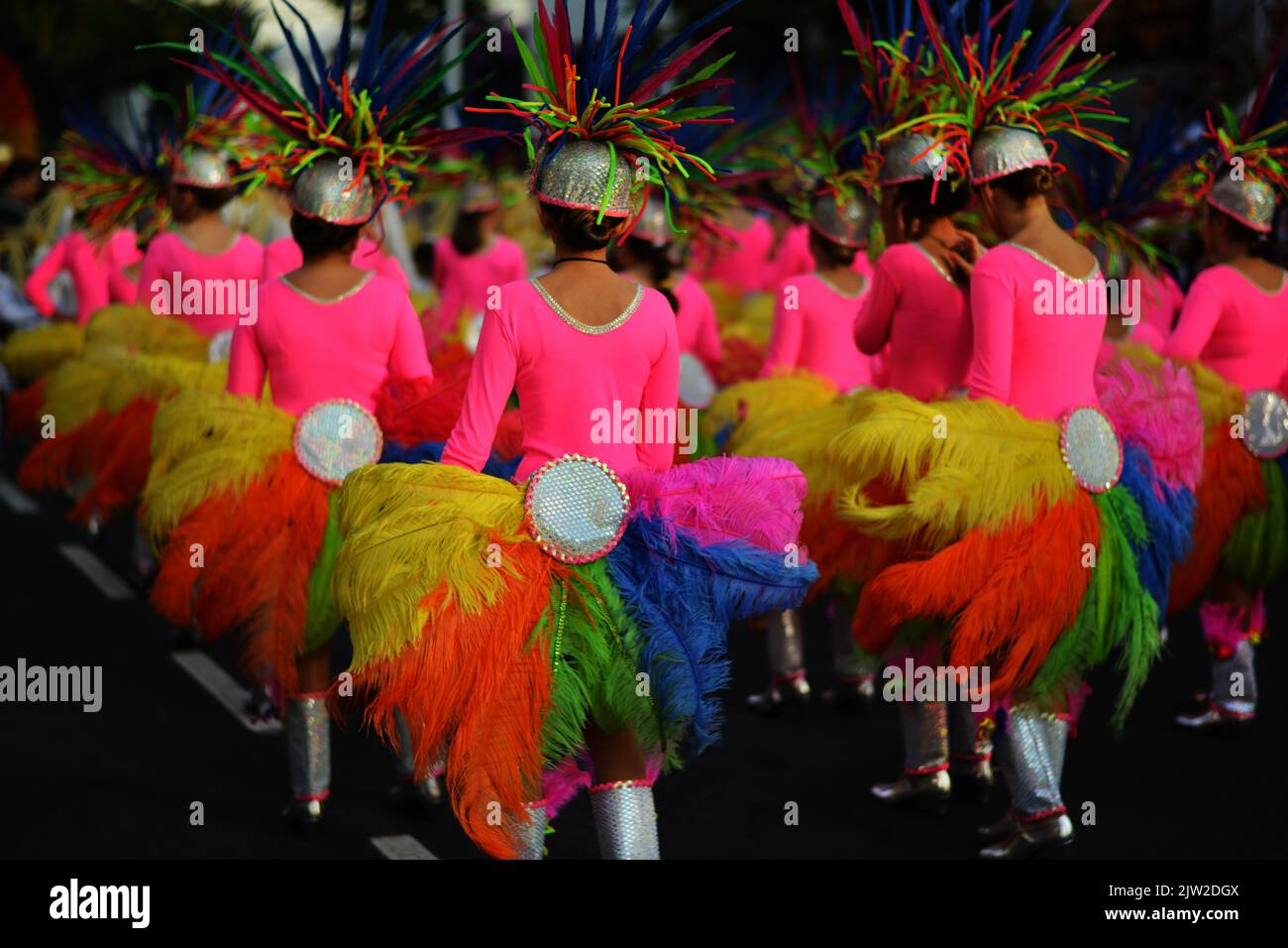 Los Llanos: Multicoloured people of all ages praise the carnival ...