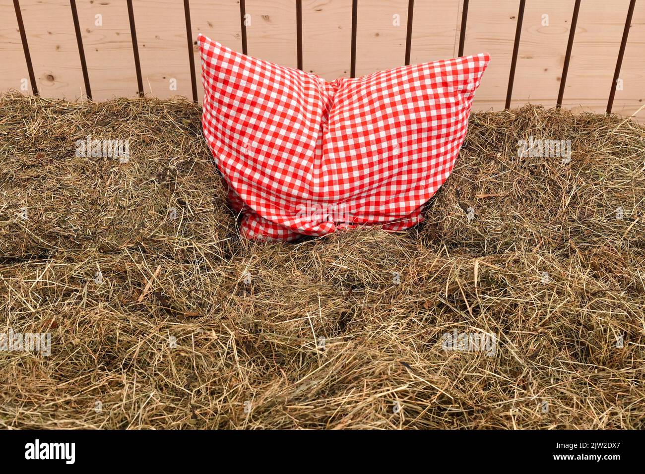 Detail straw bed Stock Photo - Alamy