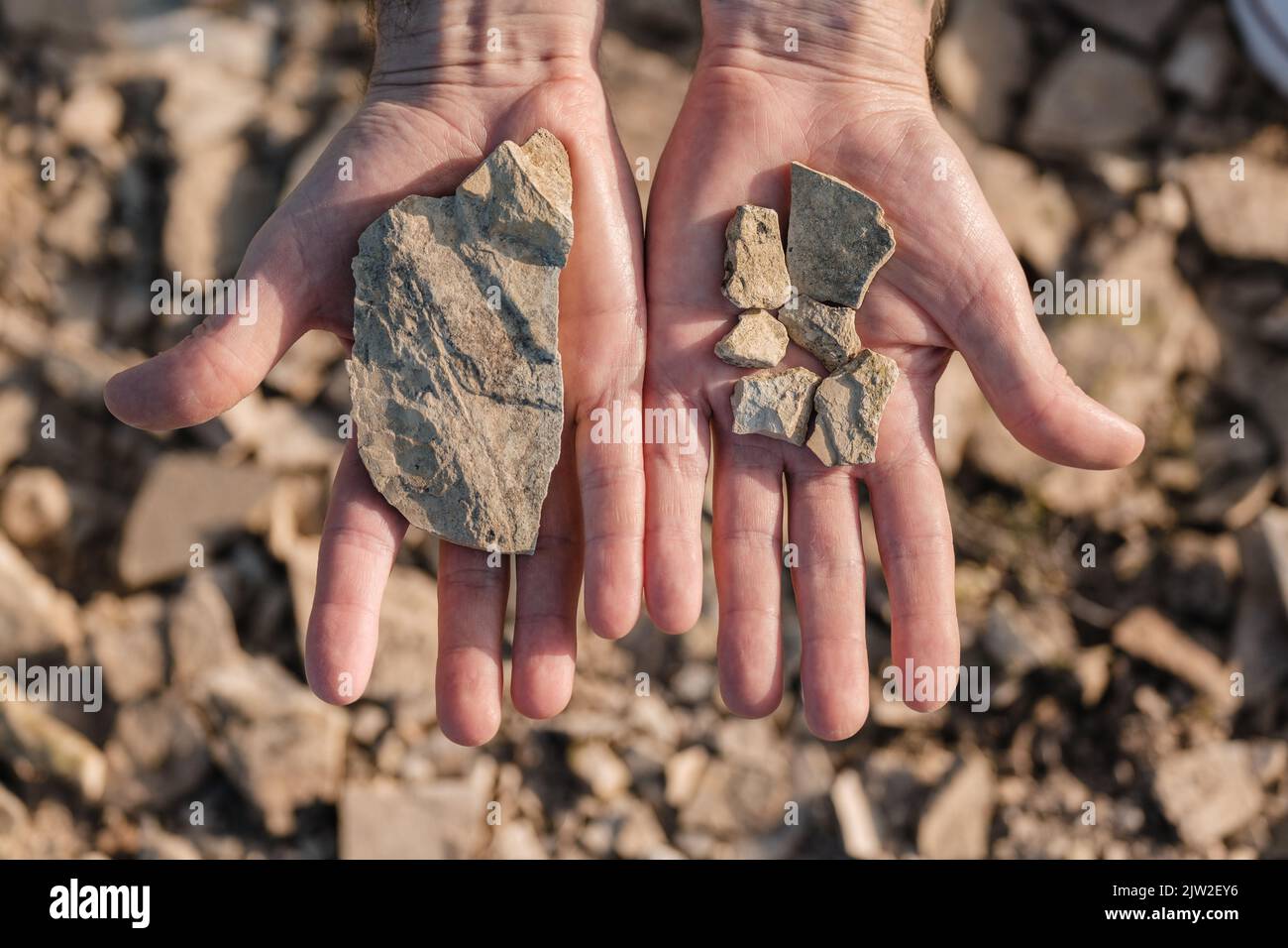 Top view of anonymous male demonstrating different pieces of rough ...