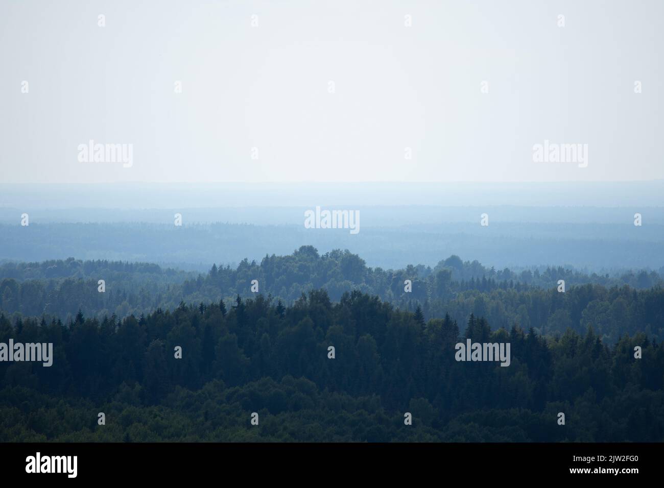 An aerial view of green dense forest at a distance on a foggy day Stock ...