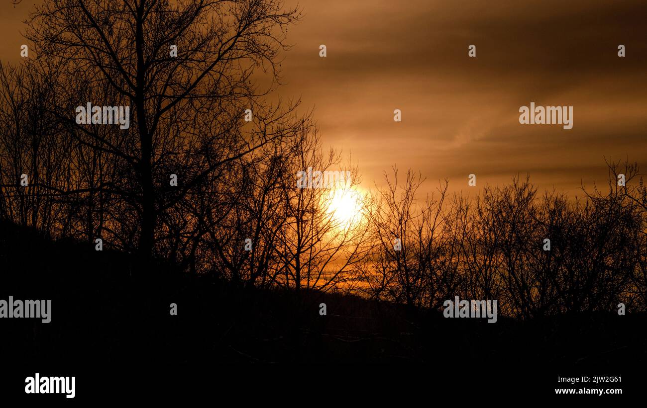 A scenic view behind the silhouettes of trees and shrubs of a dramatic ...