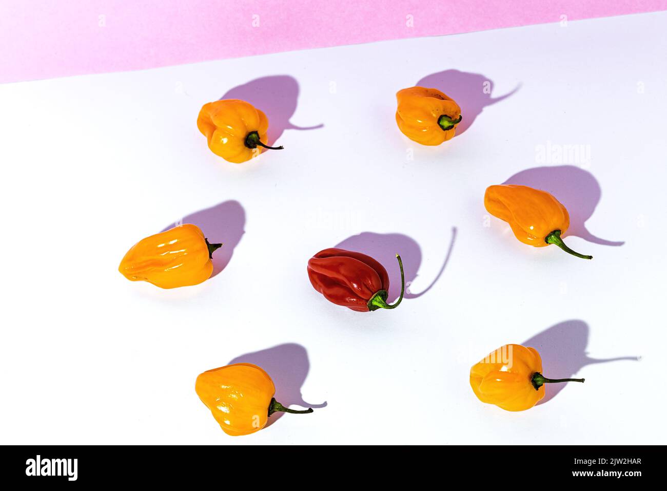 From above of one ripe yellow pepper placed among many red peppers on ...