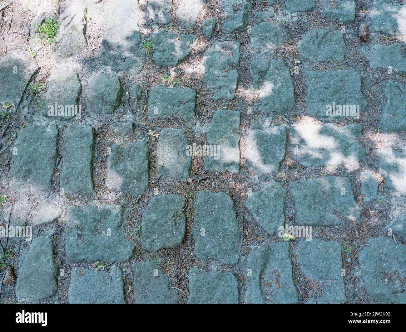 Historical old cobble stone way lined by stony milestones in deep ...