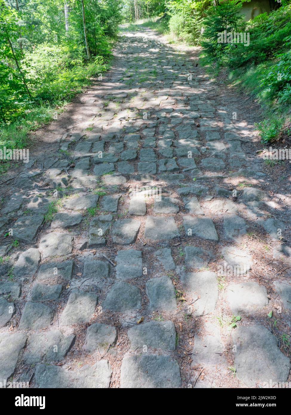 Historical old cobble stone way lined by stony milestones in deep ...