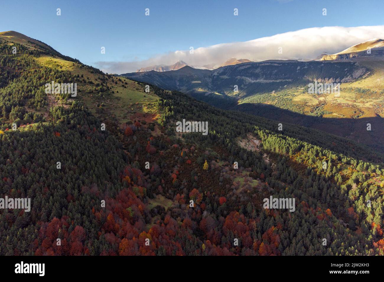 Breathtaking view of mountains and valley covered with mixed forest ...