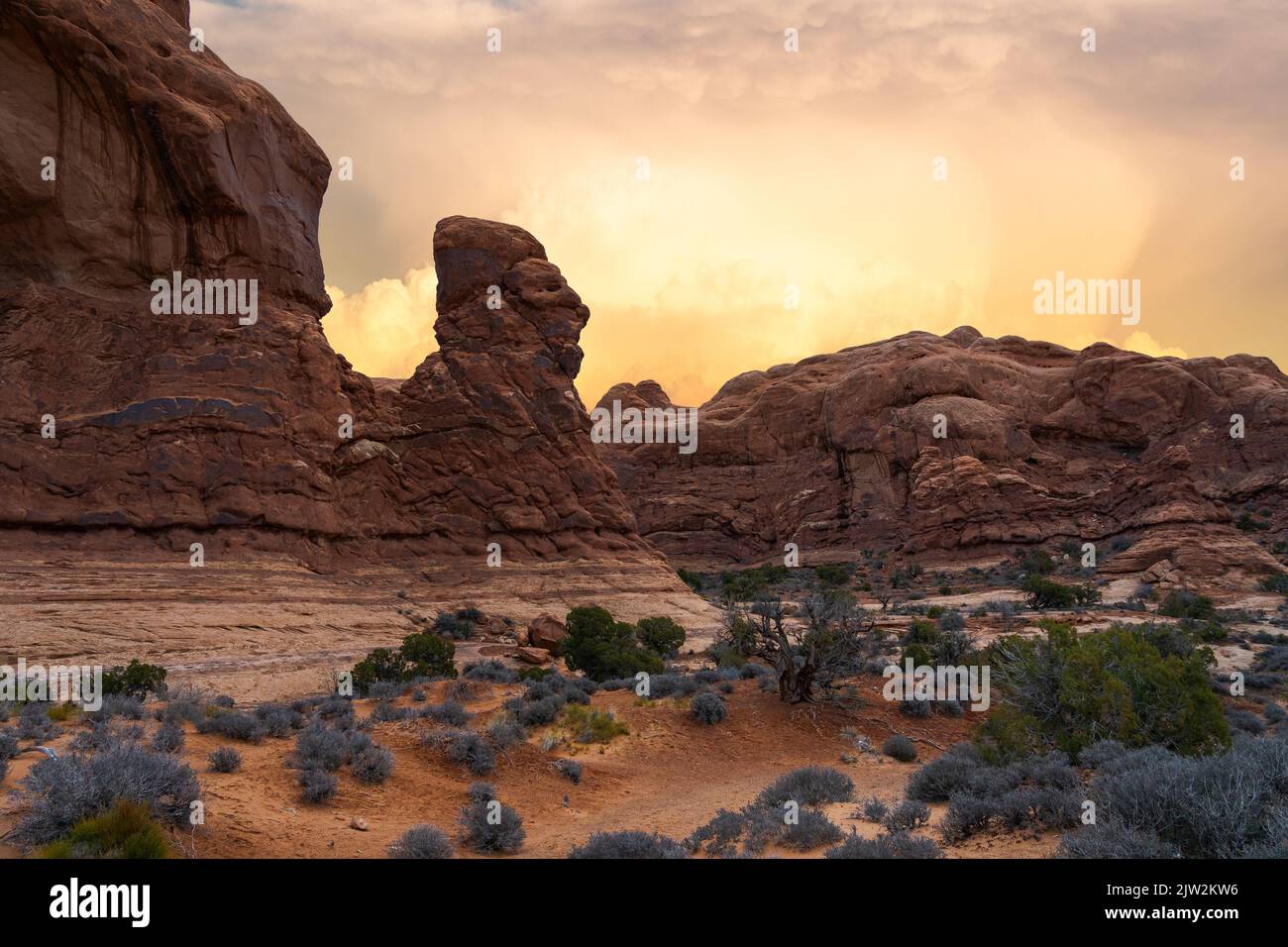 Balanced Rock formations located in desert with bushes against cloudy ...