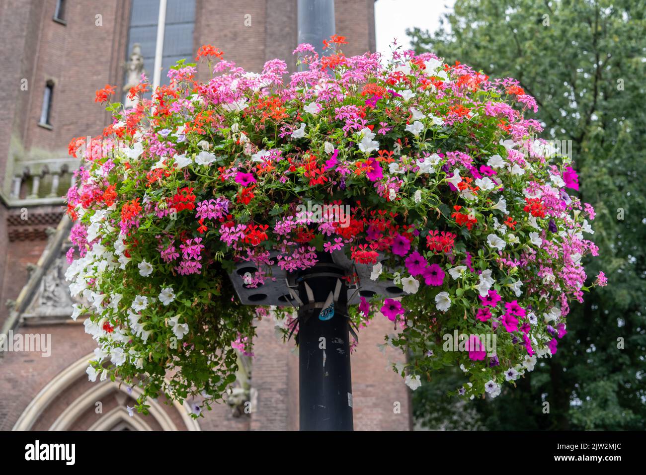 Flower pot on a column in front of St Catherine's church,Eindhoven ...