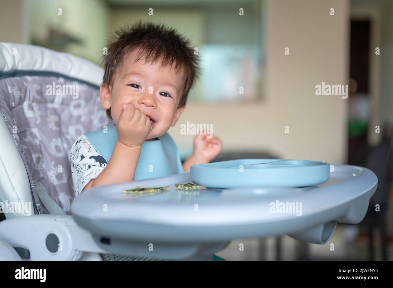 Baby boy eating by himself in his high chair at home. Adorable one year ...