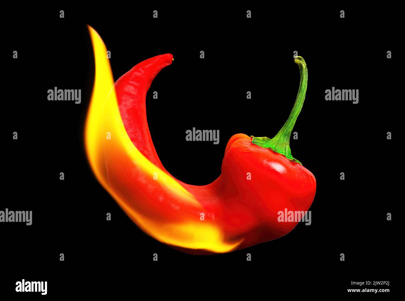 Burning red chili pepper resembling a snake tongue shape. Spicy food ...