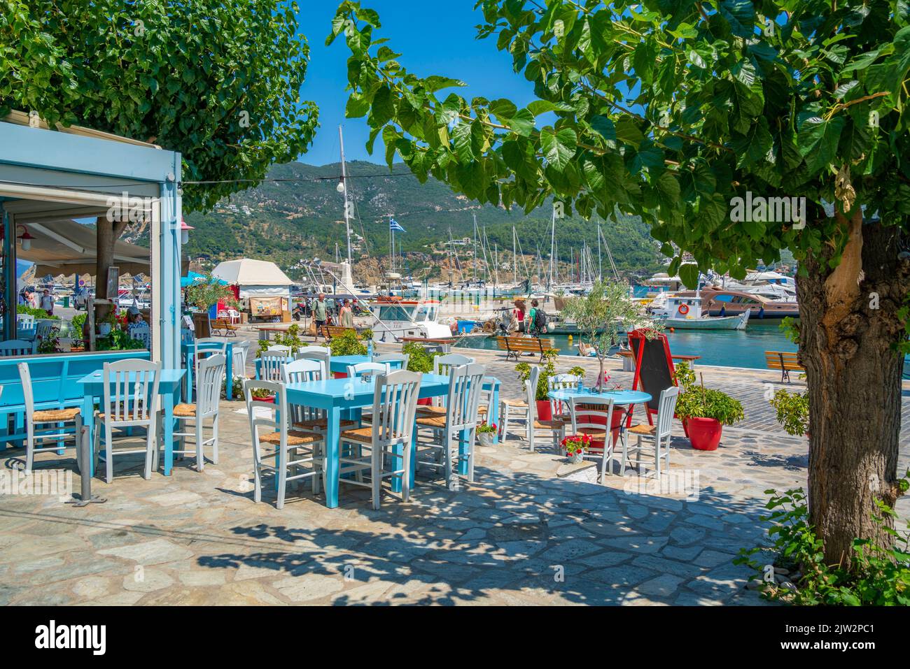 View of cafe and restaurant overlooking harbour, Skopelos Town ...