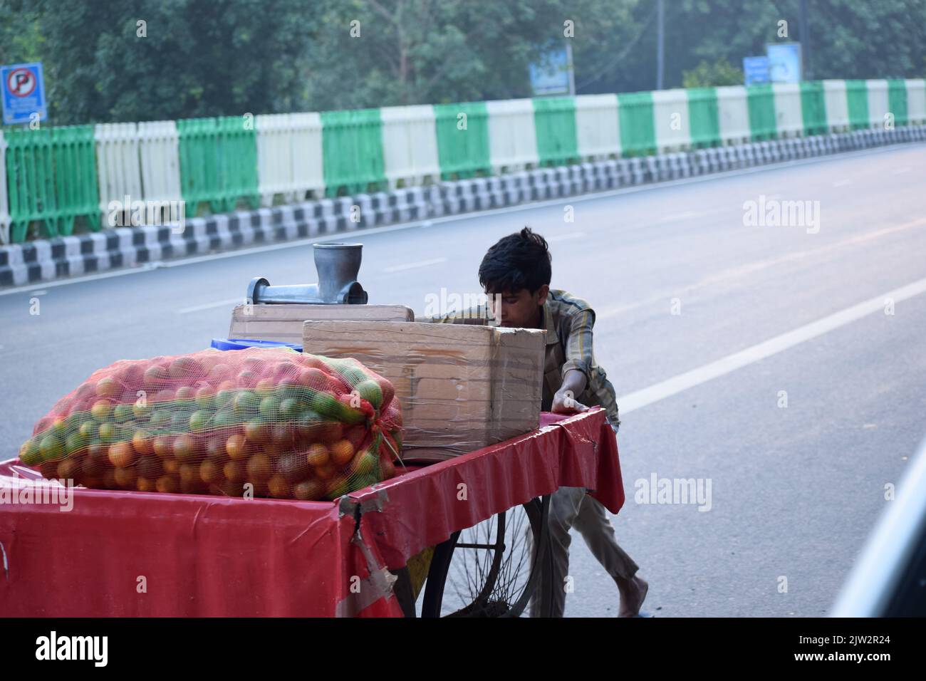 Indian boy is pushing a bicycle cart with vegetables Stock Photo - Alamy