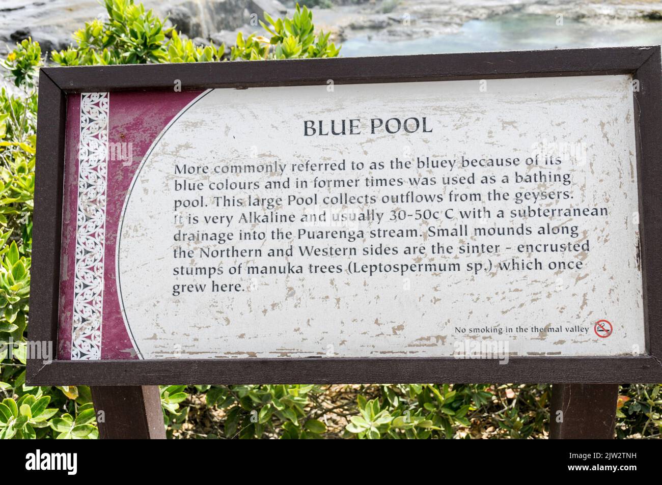 The Blue Pool visitor’s information board at Te Puia Whakarewarewa ...