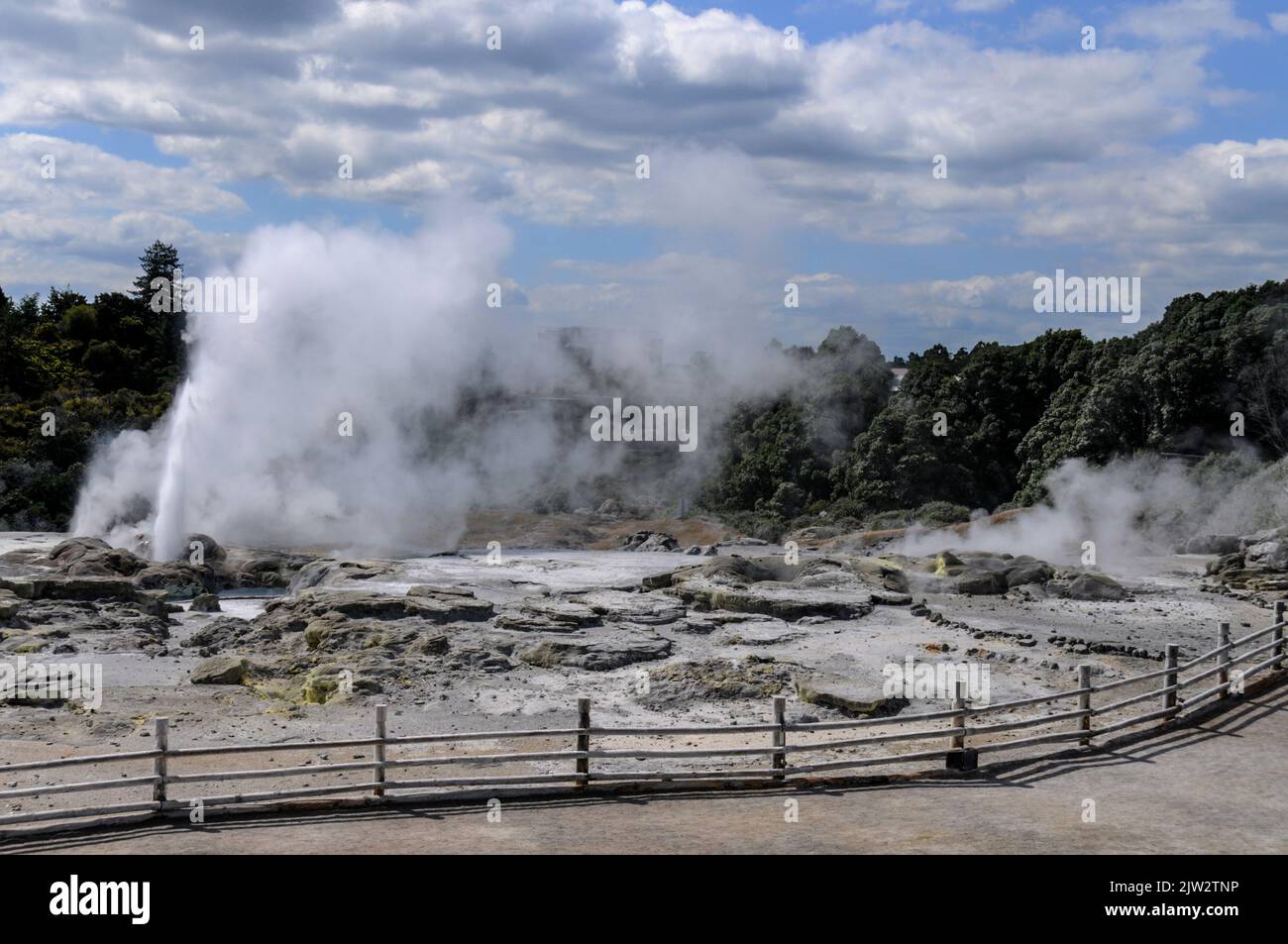 The Pohutu Geyser erupts about once or twice an hour sending about 30 ...
