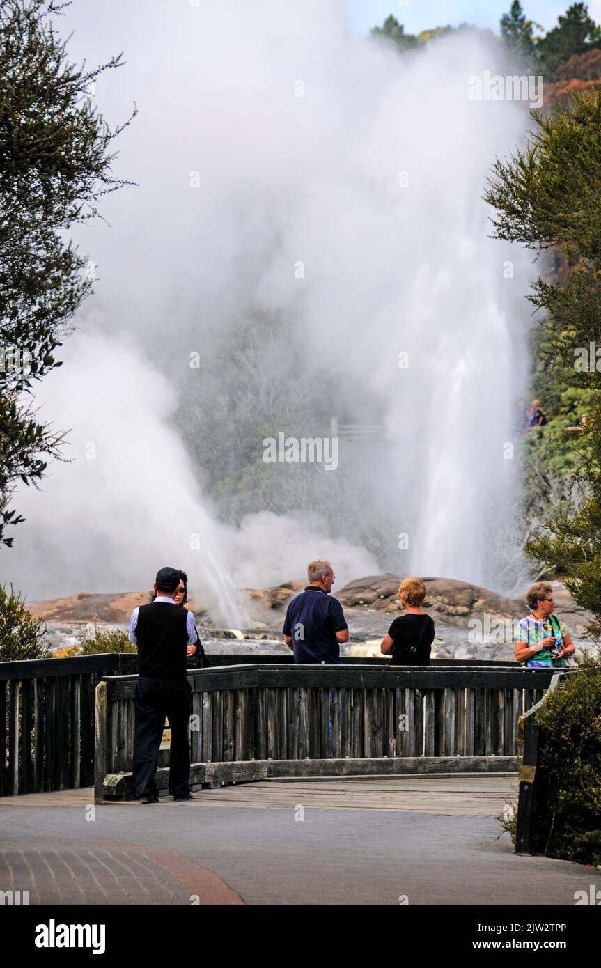 The Pohutu Geyser erupts about once or twice an hour sending about 30 ...