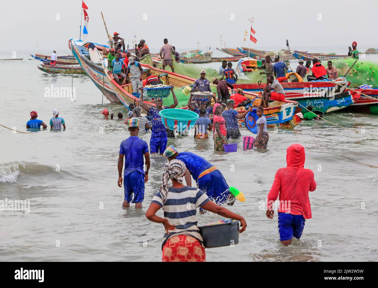 Africa,Gambia Fish Market ,Bakau Stock Photo - Alamy