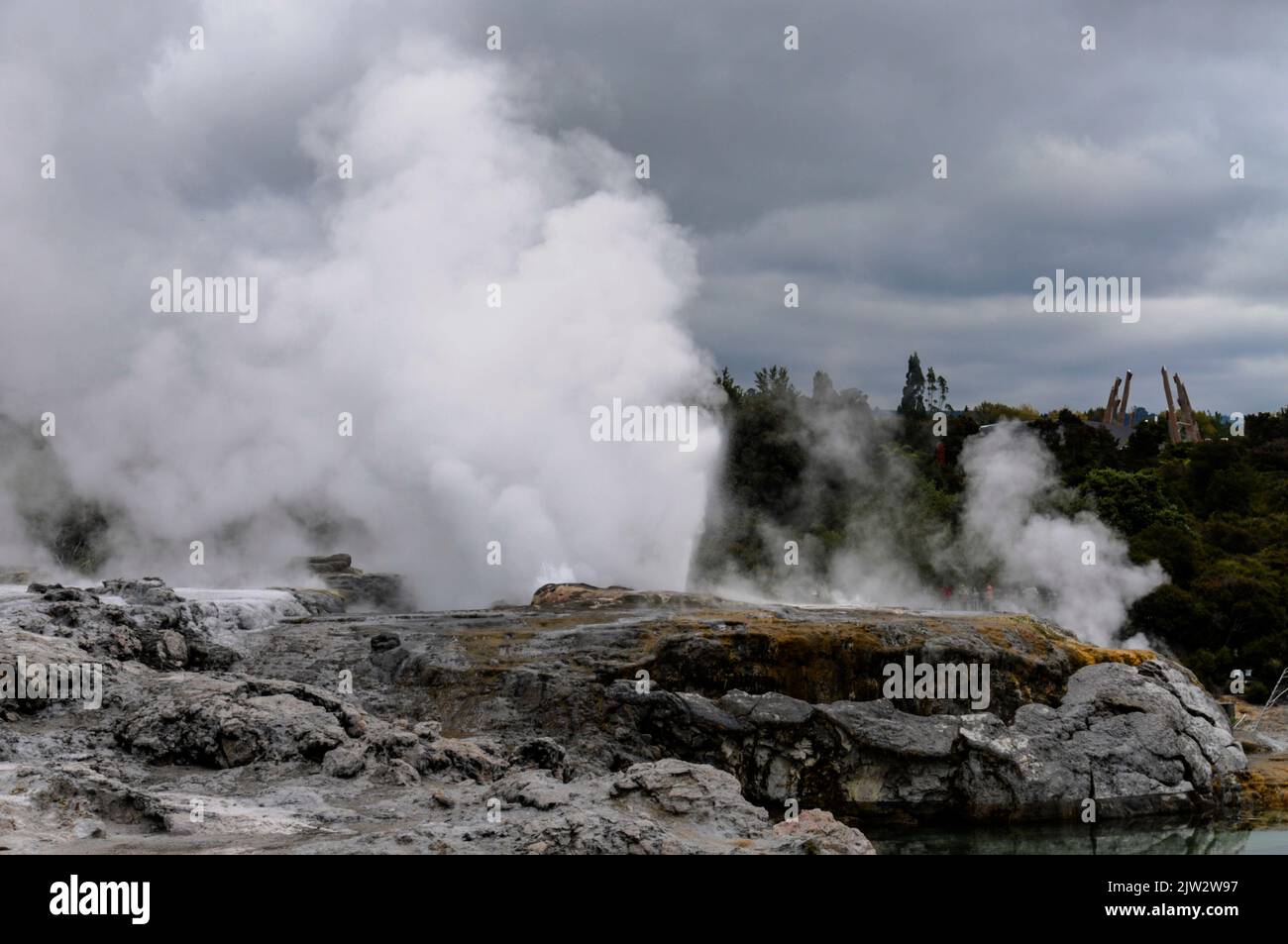 The Pohutu Geyser erupts about once or twice an hour sending about 30 ...