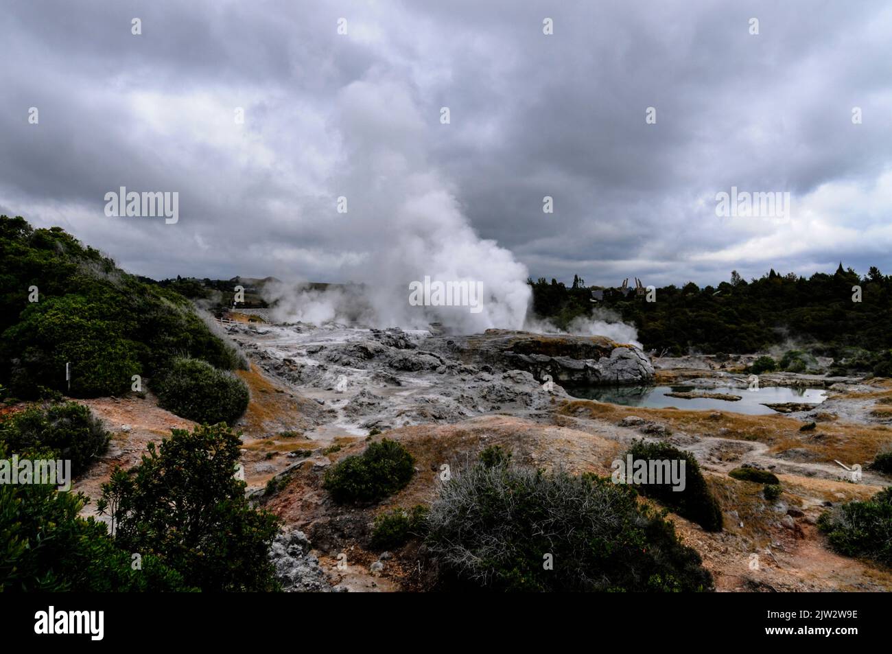 The Pohutu Geyser erupts about once or twice an hour sending about 30 ...