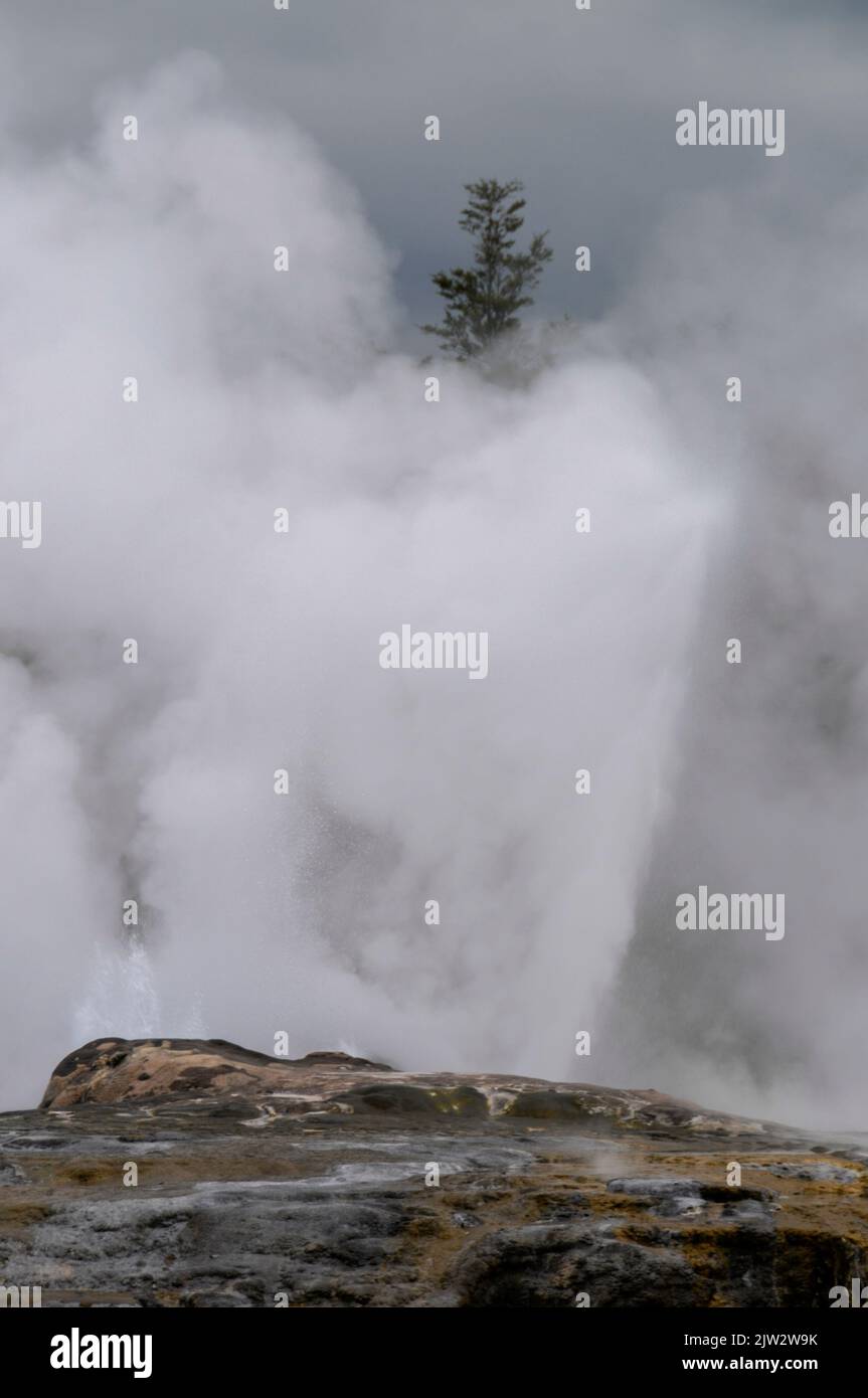 The Pohutu Geyser erupts about once or twice an hour sending about 30 ...