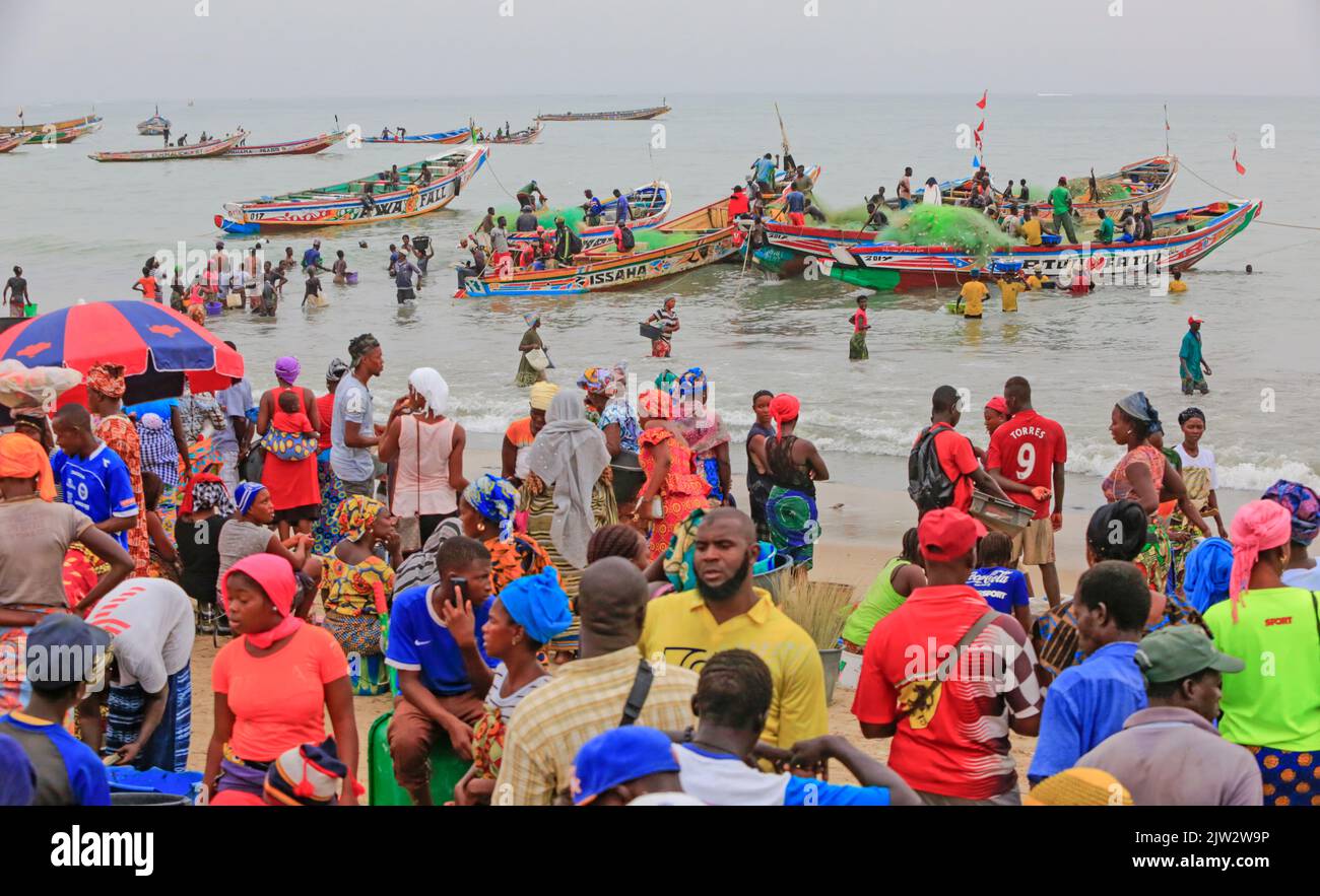 Gambia fish market bakau hi-res stock photography and images - Alamy