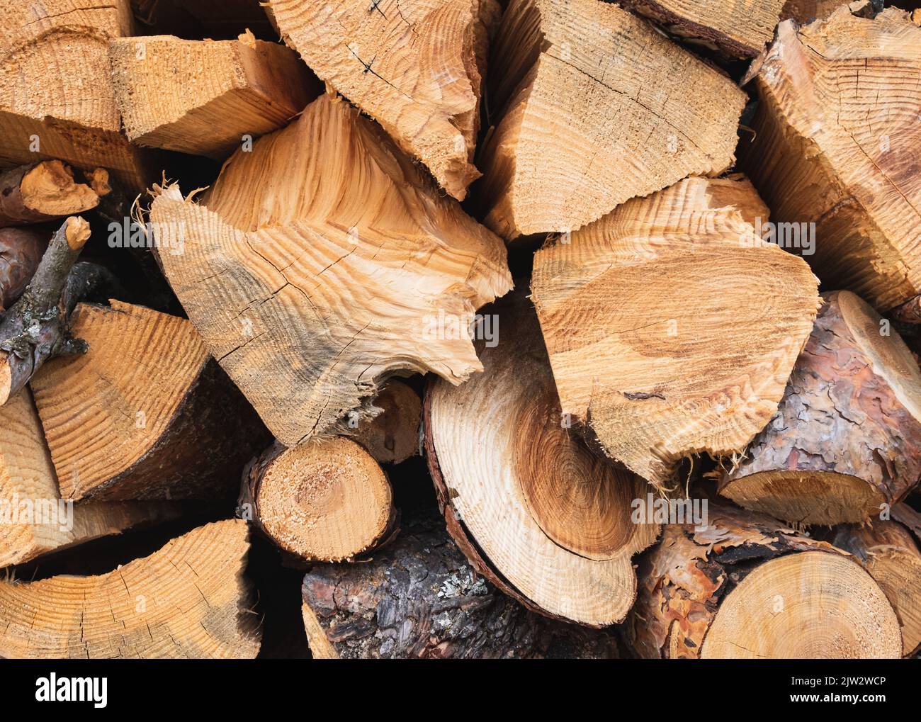 Axeman chopping tree hi-res stock photography and images - Alamy